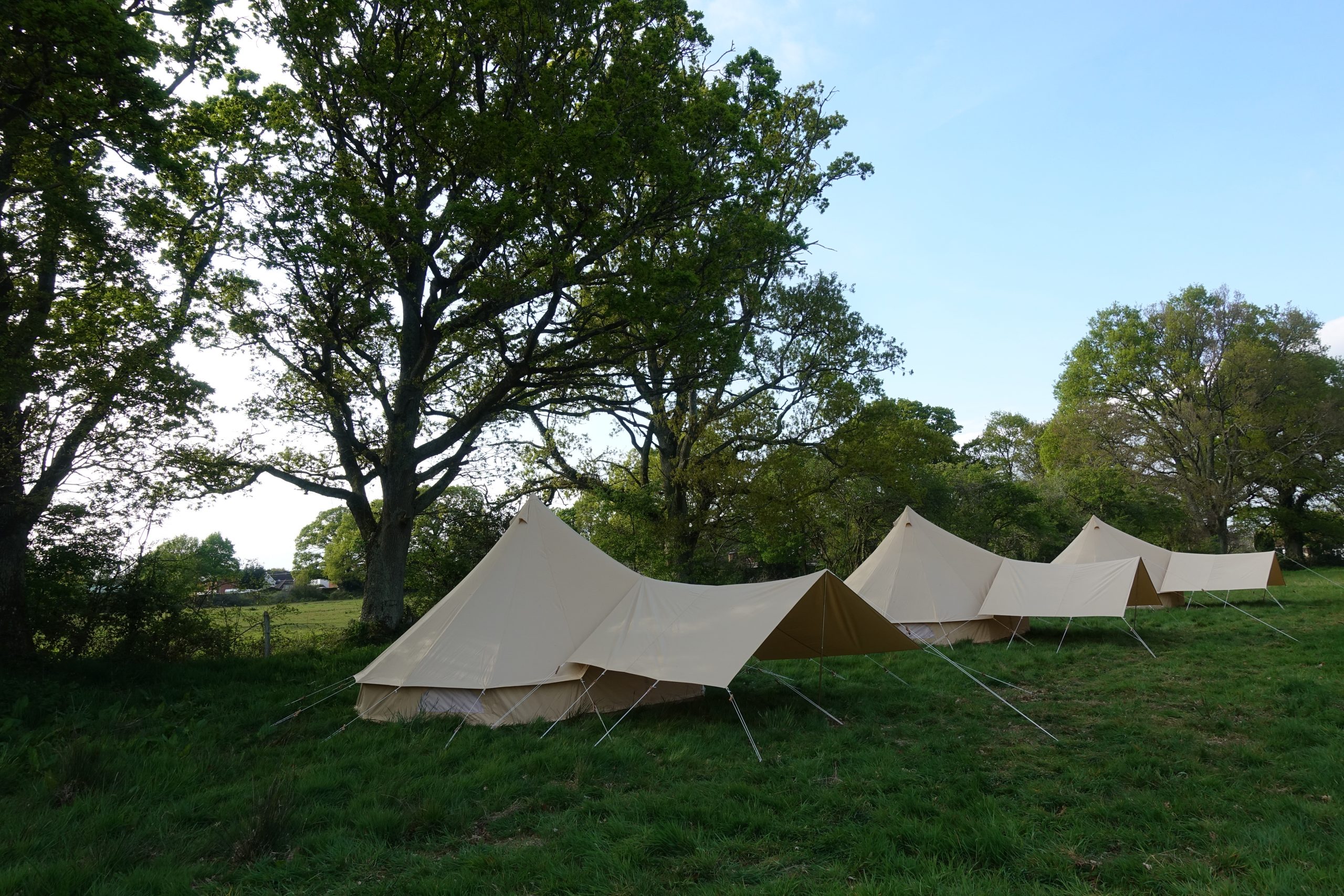 Fancy Camping | Beautifully Furnished Bell Tents in The New Forest