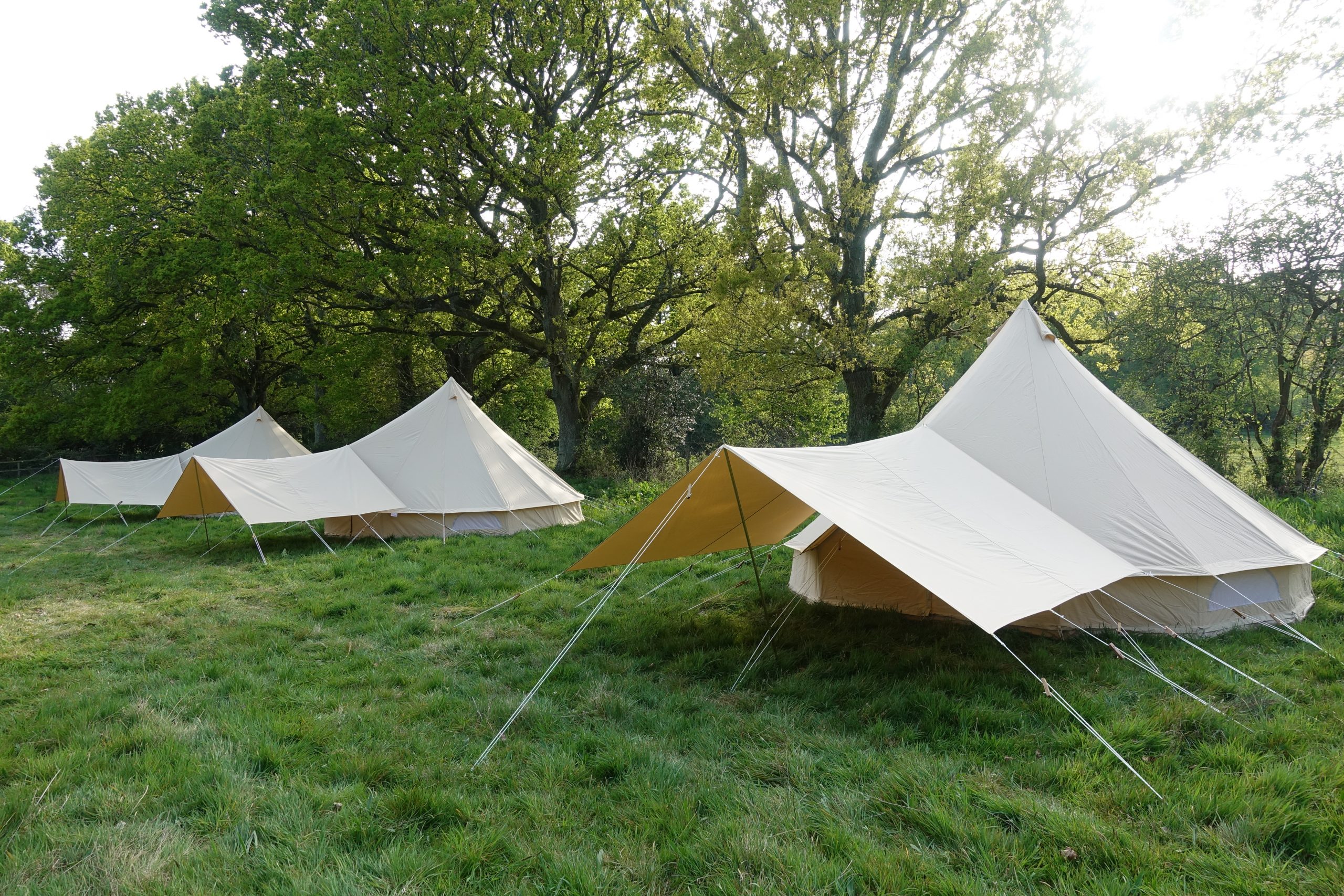 Fancy Camping | Beautifully Furnished Bell Tents in The New Forest